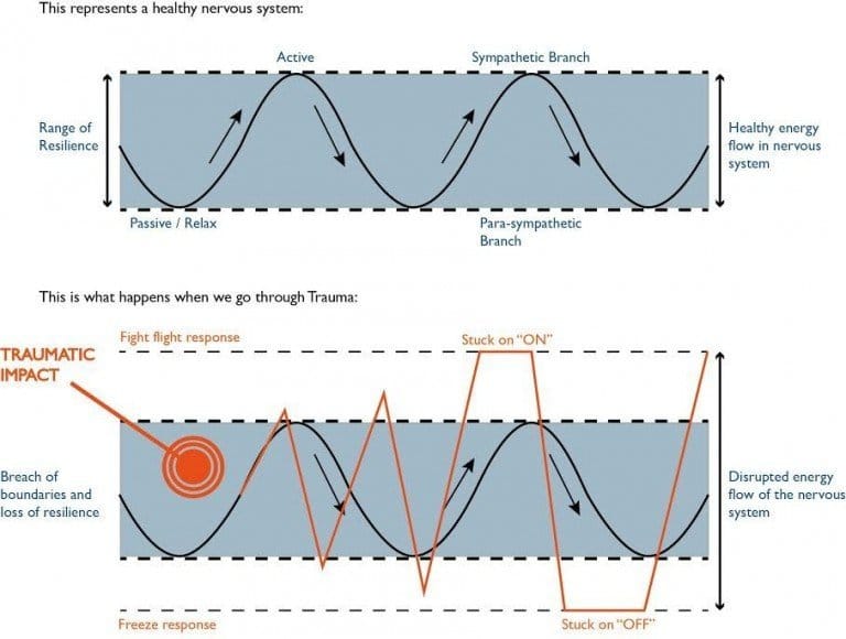 Fight or Flight and The Freeze Response in Trauma and PTSD
